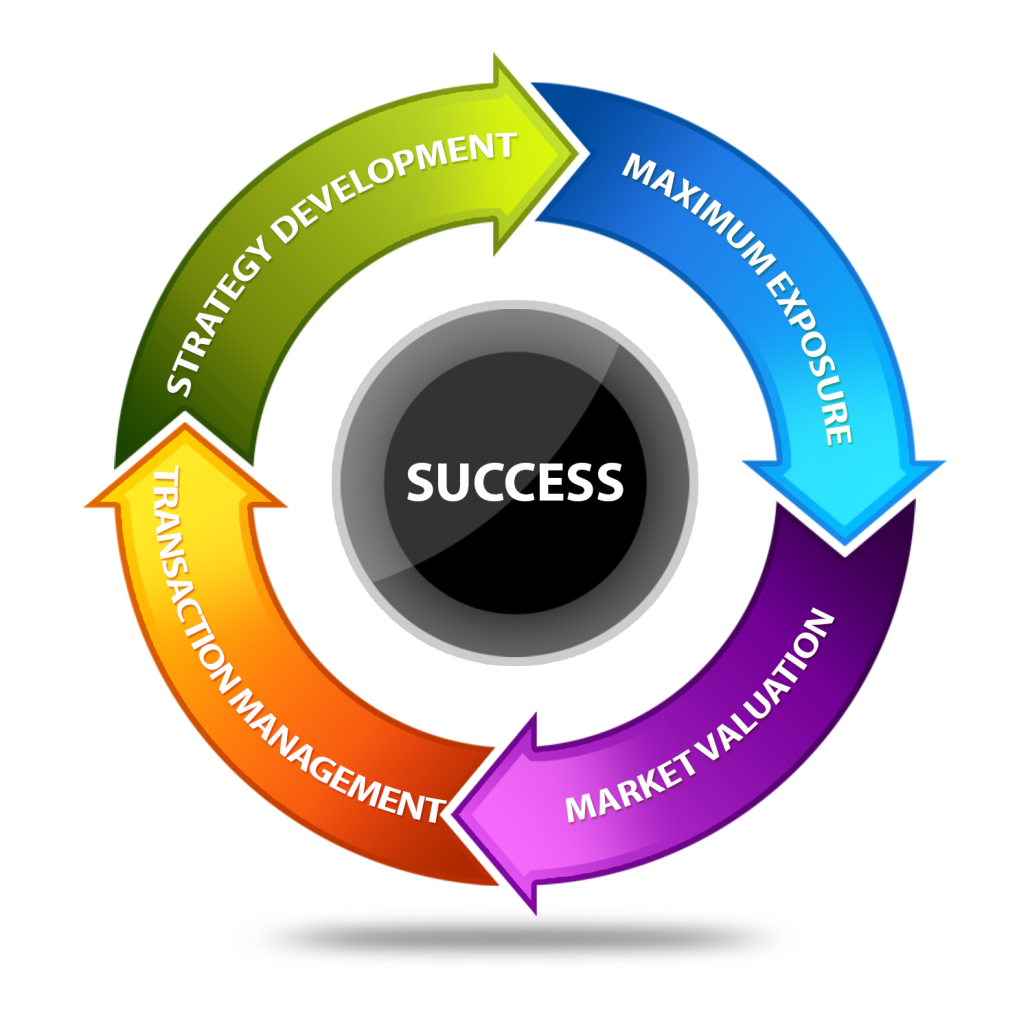 Comprehensive Selling Process | Procision Business Brokers
